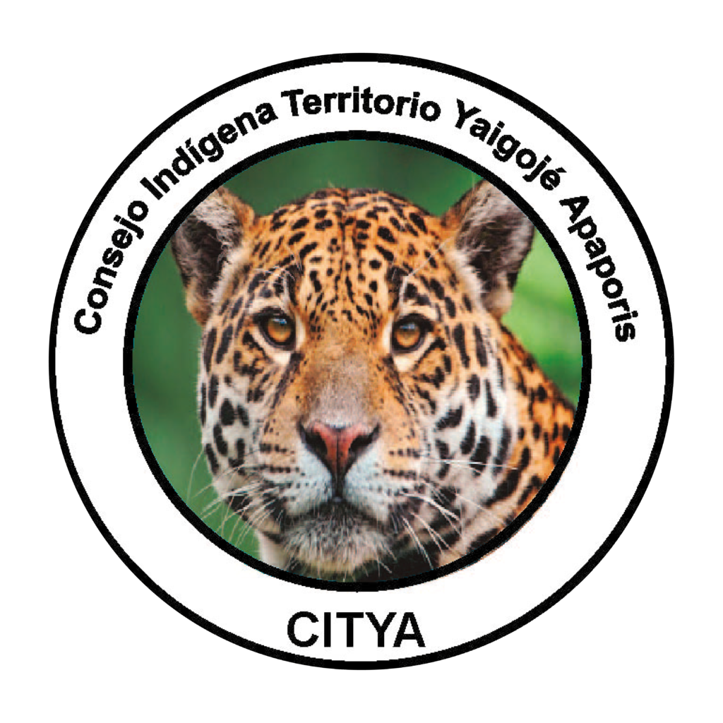 Jaguares de Yurupari