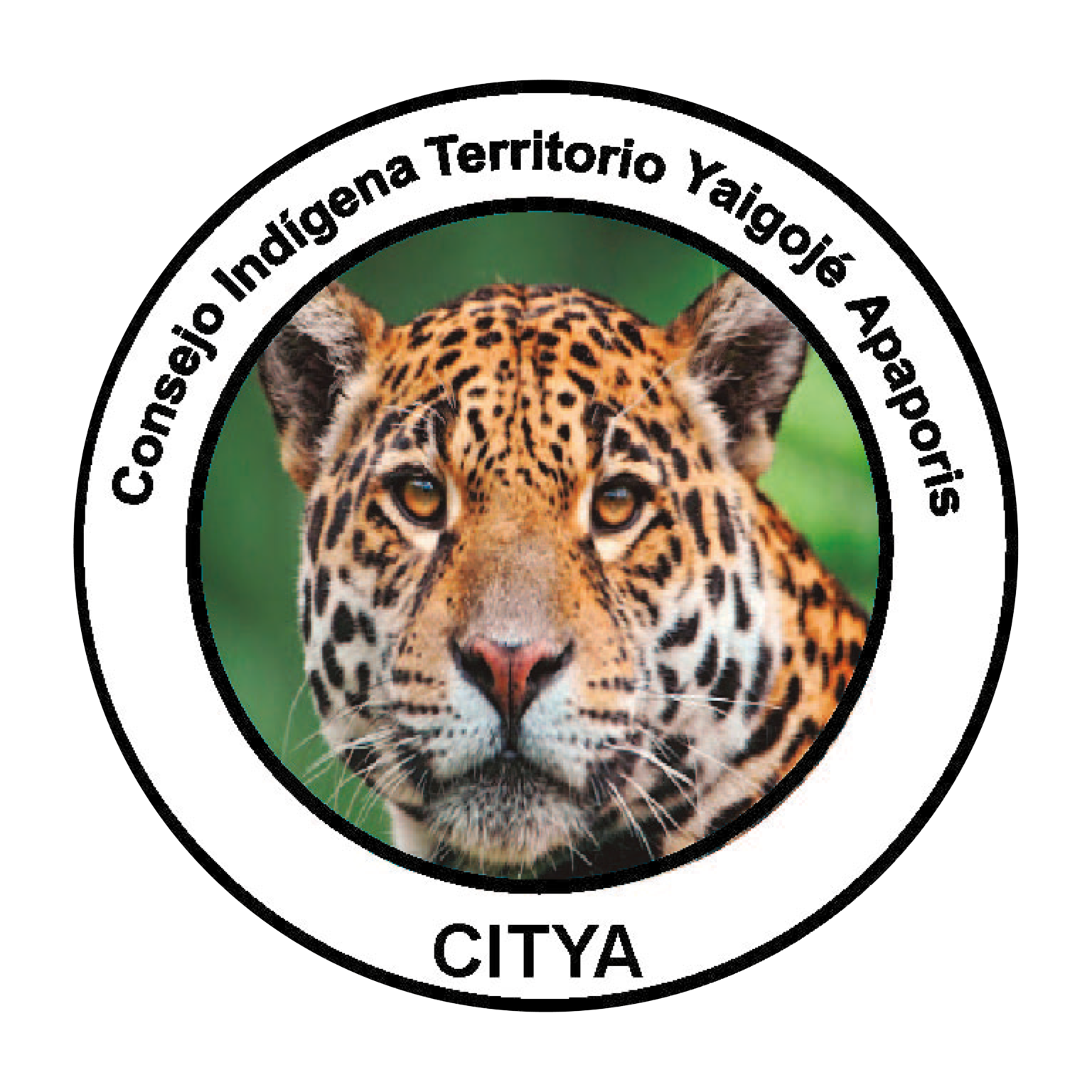 Jaguares de Yurupari
