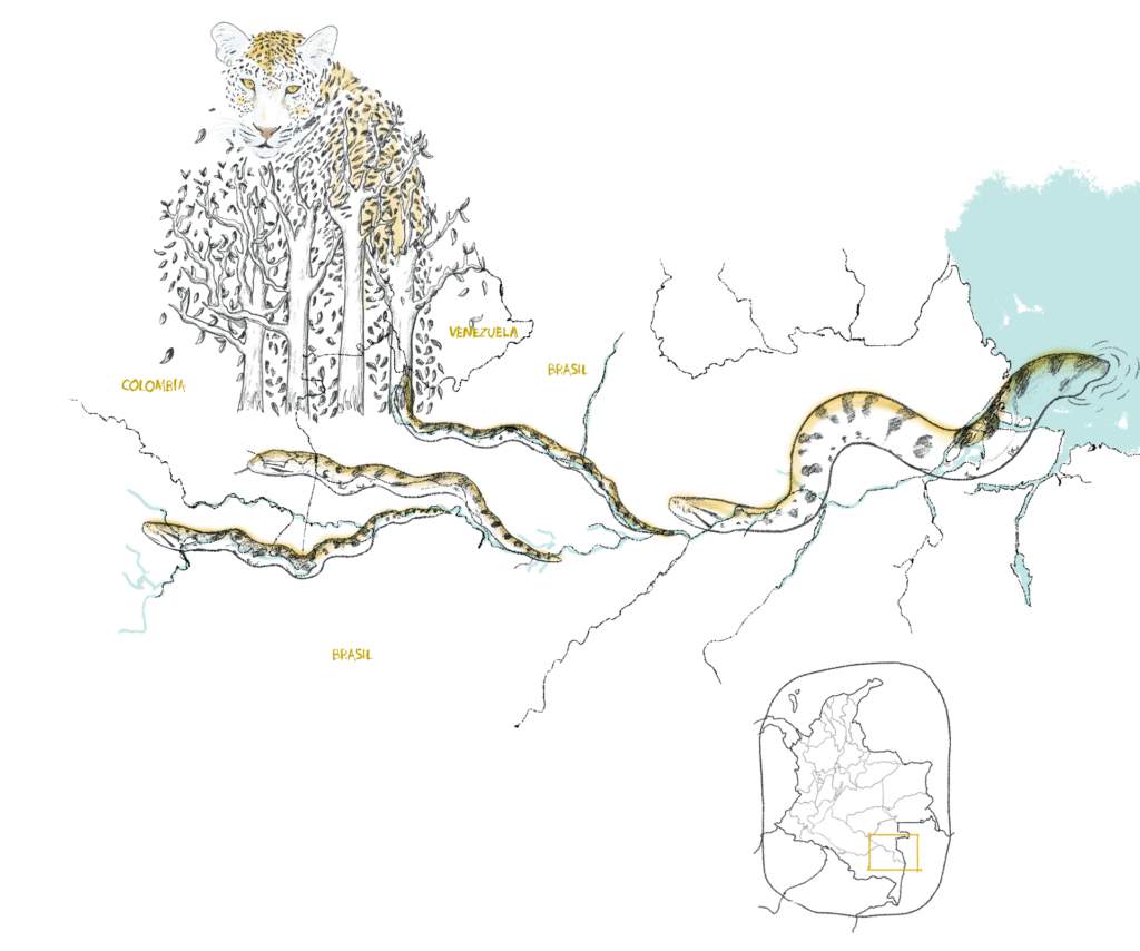 Jaguares de Yurupari